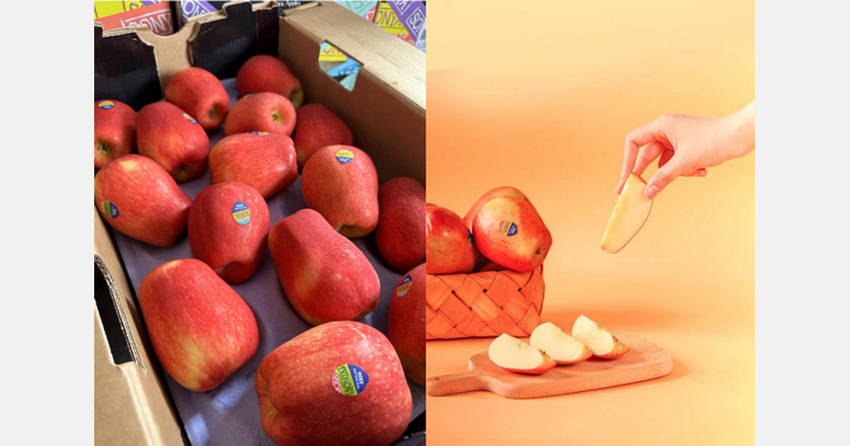 “我们致力于索尼娅苹果保持价格平稳”