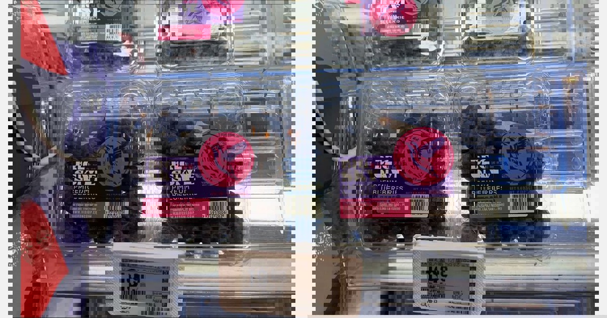 Agrovison与Fresh Hippo签署战略合作备忘录