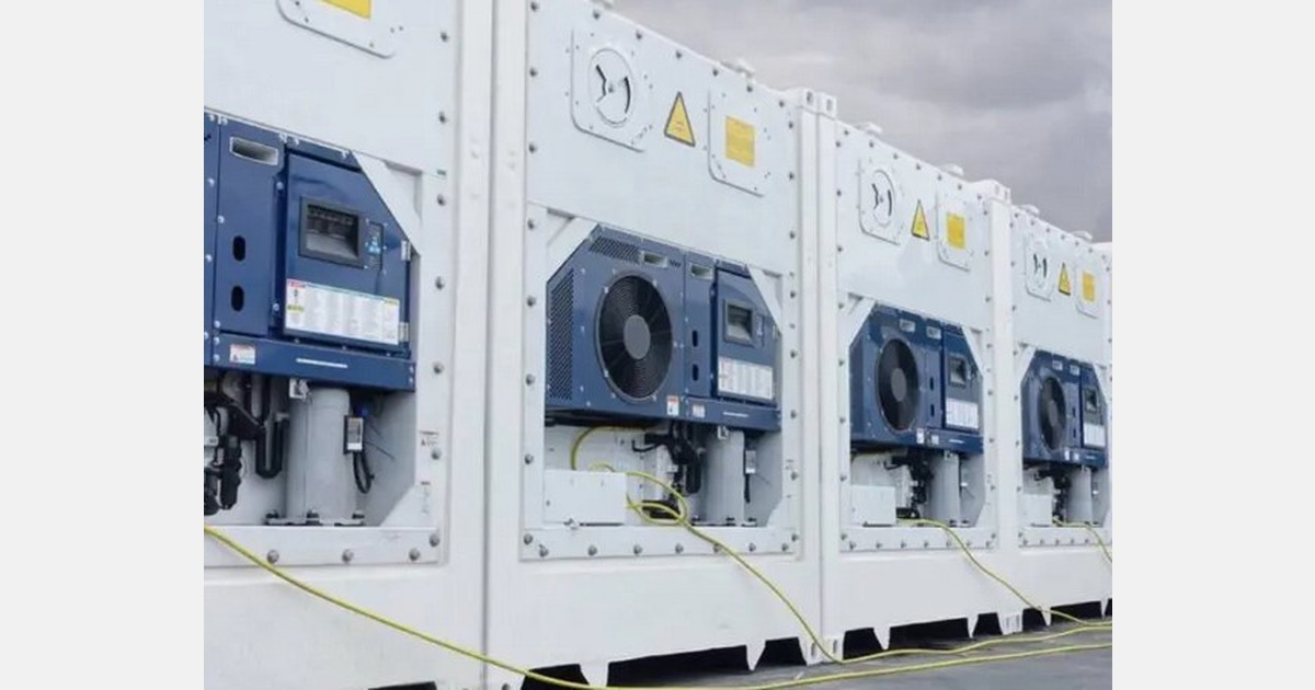 TransContainer推出首项冷藏服务