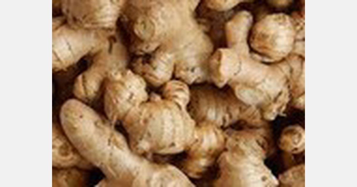 NEPC 和 Zeenab 合作向中国出口生姜