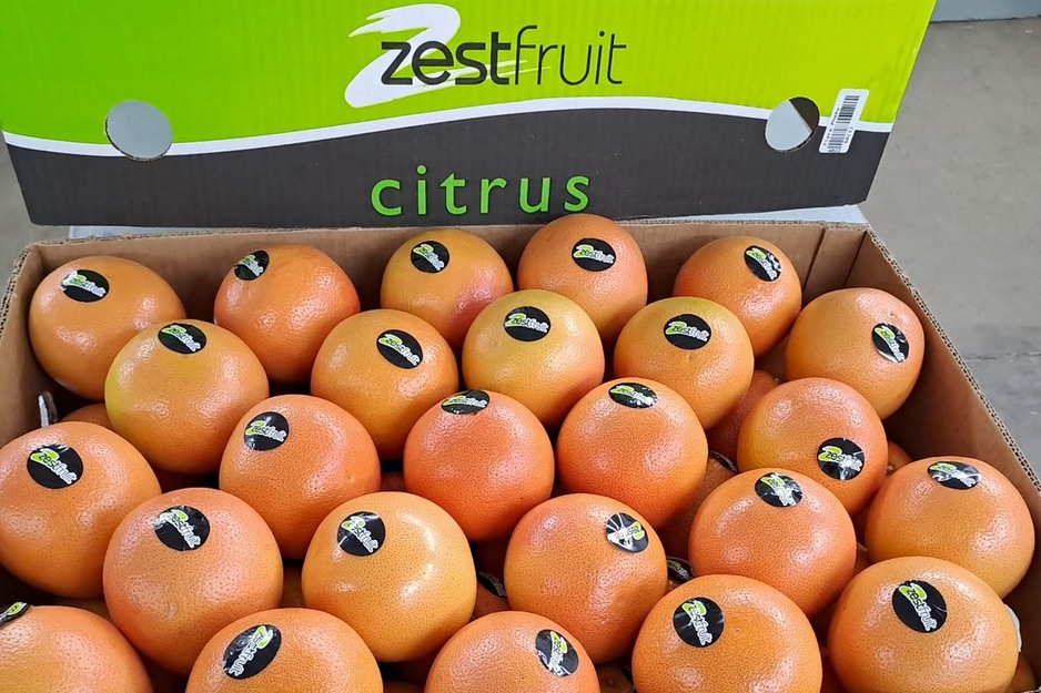 南非柑橘出口商向俄罗斯出口水果的数量超过以往