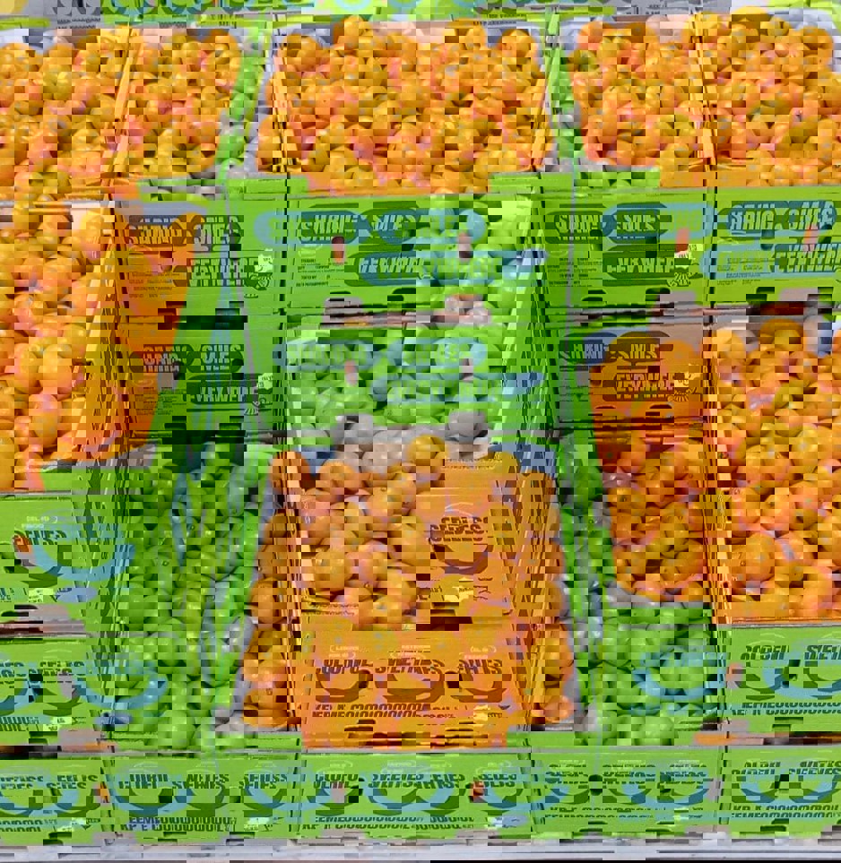 “通过我们的新柑橘标签，我们计划向最苛刻的市场提供高质量的产品”