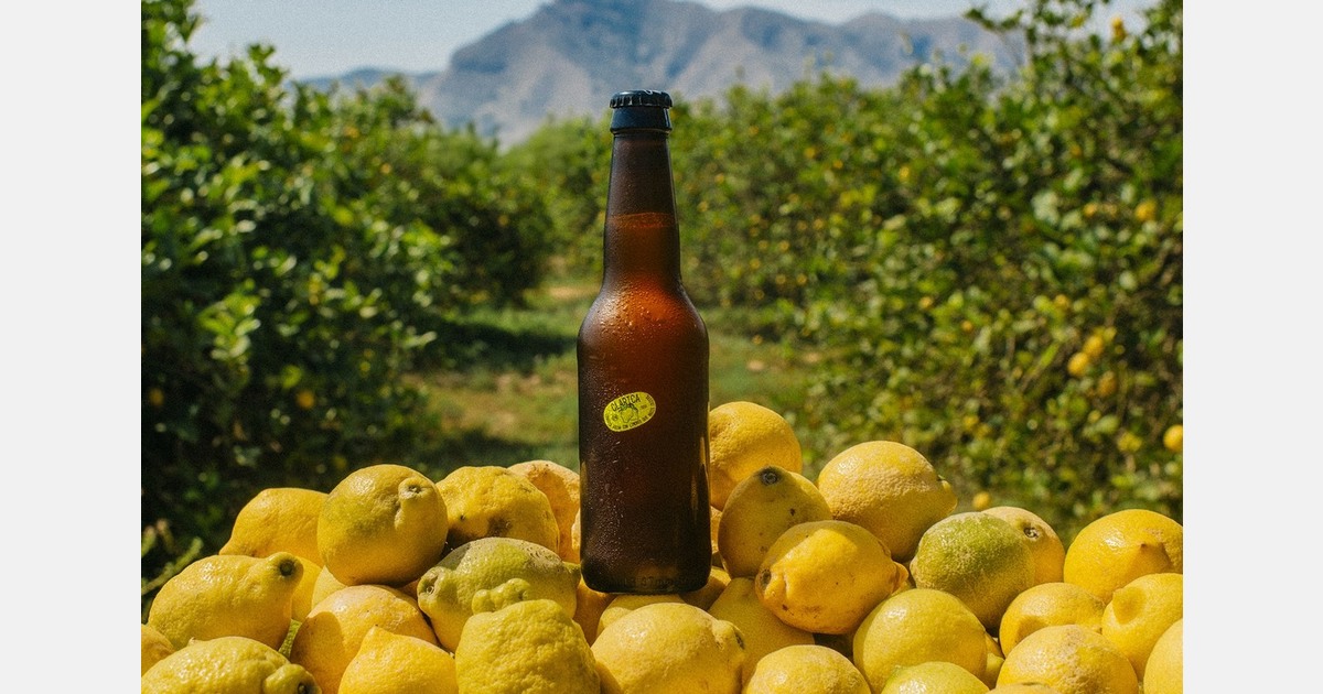 Clarica，一种用丢弃的柠檬酿造的啤酒，用于新鲜饮用