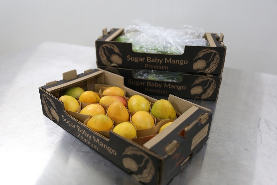 “我们的目标是将糖芒果推广为全球标志性的哥伦比亚产品”