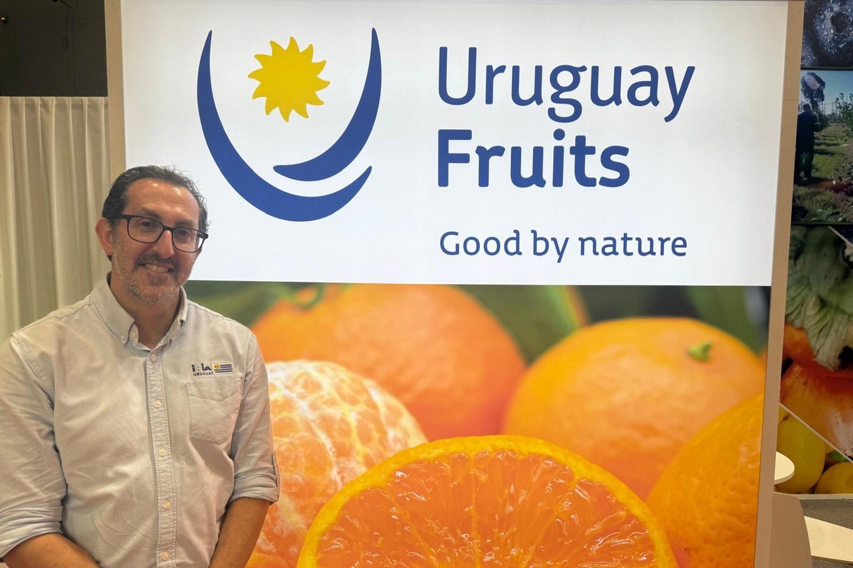 "乌拉圭新橙子品种旨在提升该领域的竞争力"