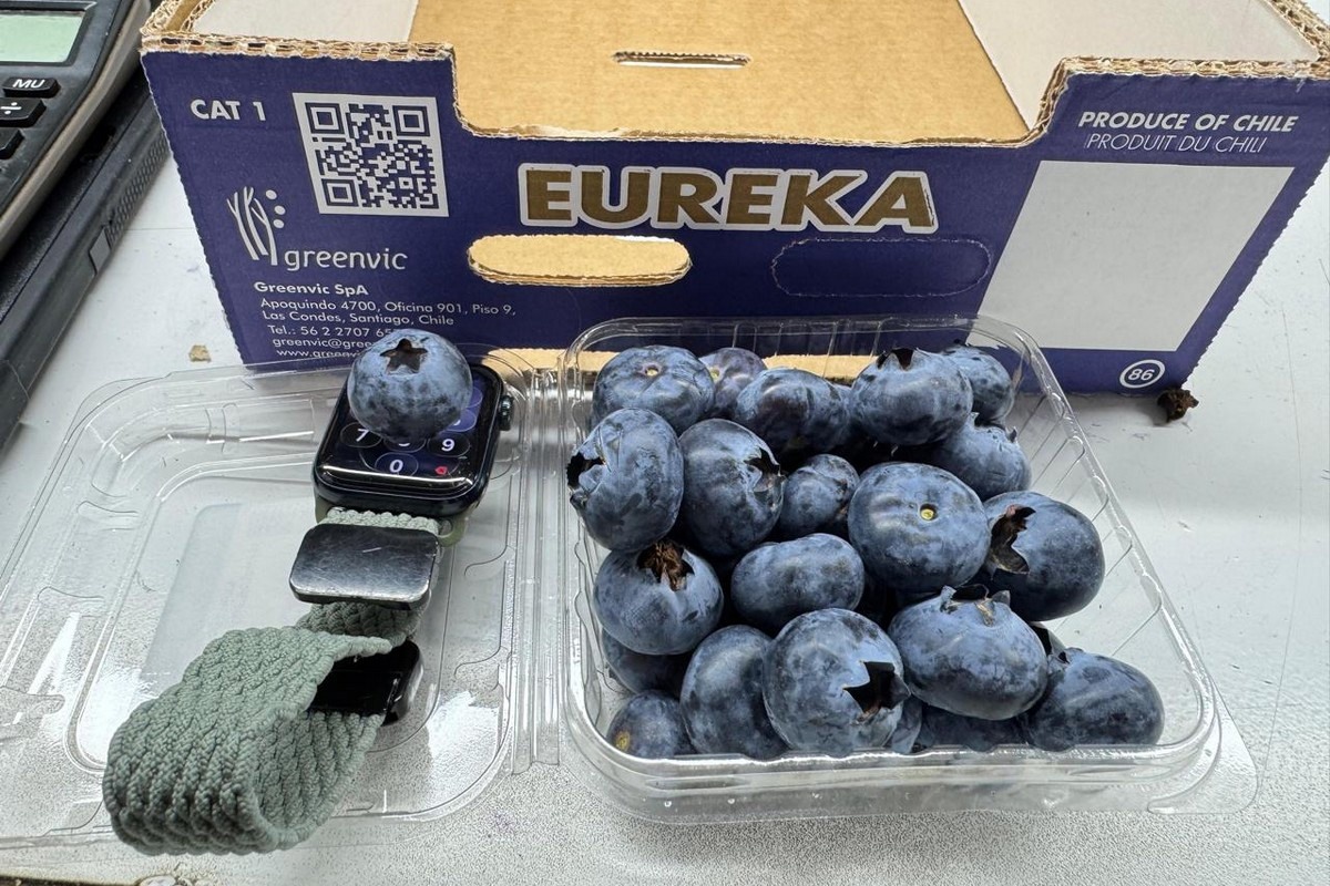 韩国正巩固其作为智利蓝莓增长最快目的地之一的地位